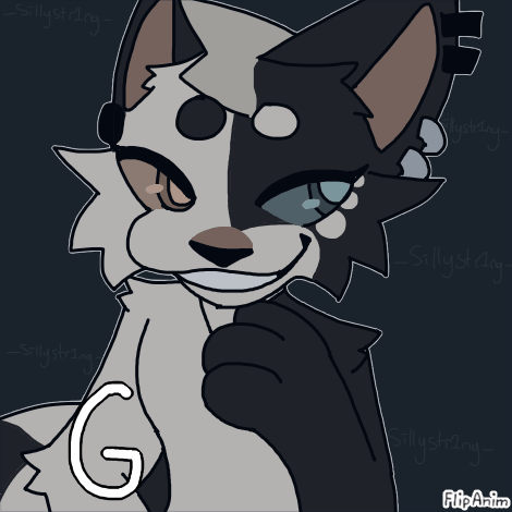 GUESS,GUESS,GUESS,GUESS,GUESS, - FlipAnim