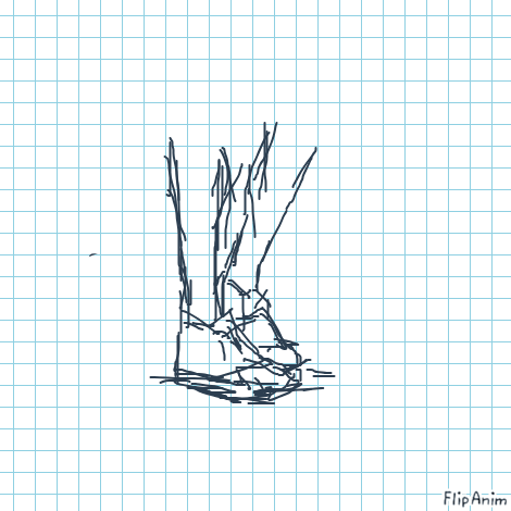 CHERRY BLOSSOM - FlipAnim