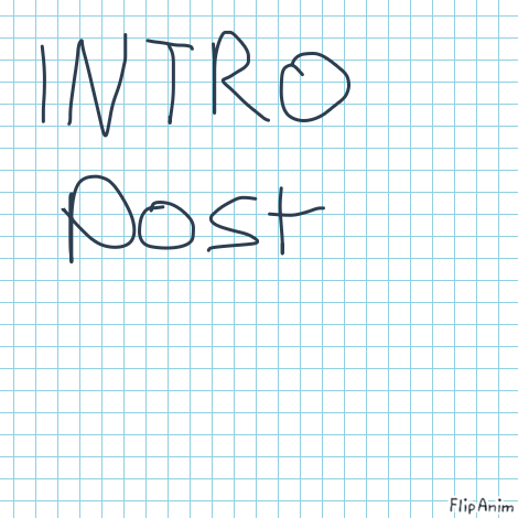 MY INTRO!!! - FlipAnim