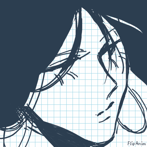 idk bro - FlipAnim