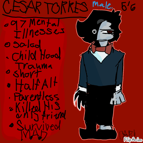 Reference - FlipAnim