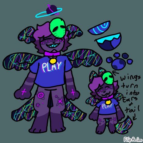 Custom for offsite - FlipAnim