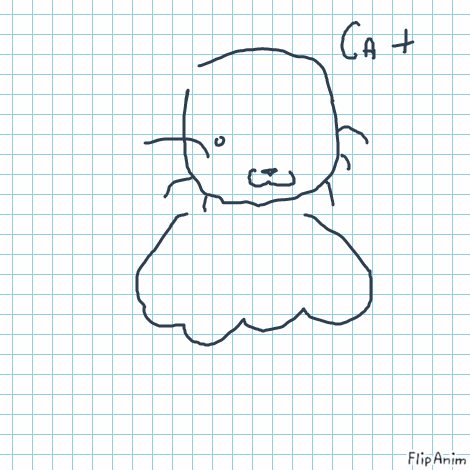 character reminder - FlipAnim