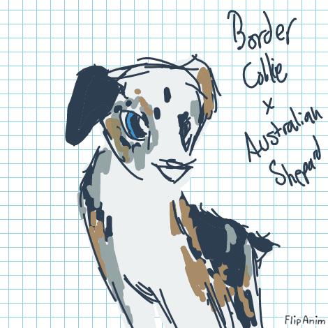 sweet puppy- - FlipAnim