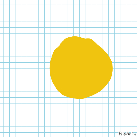 the rainbow flower - FlipAnim