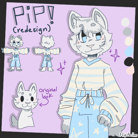 Pip redesign - FlipAnim