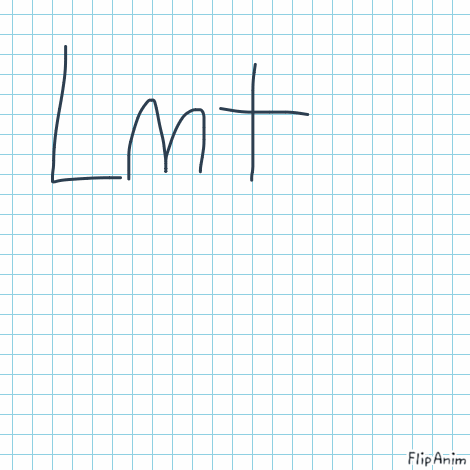 LMT - FlipAnim