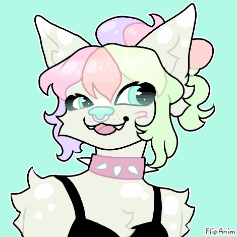 long time no see? - FlipAnim