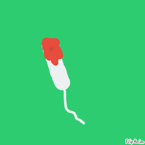 uhhh what - FlipAnim