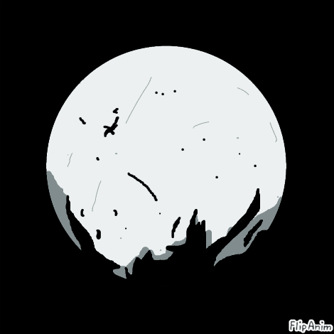 the traveler a bit more round - FlipAnim