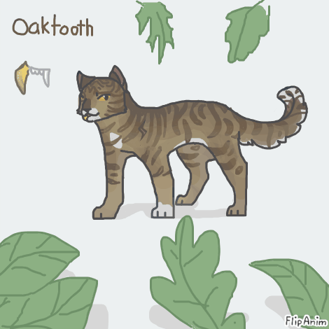 Warrior cat OC - FlipAnim