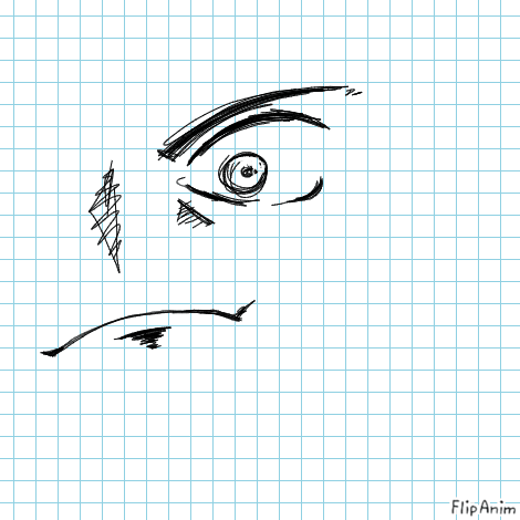 face practice - FlipAnim