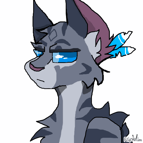 Jayfeather - FlipAnim