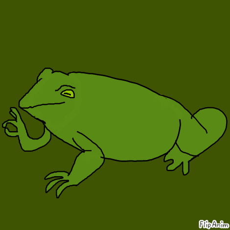 I perfected the toad - FlipAnim