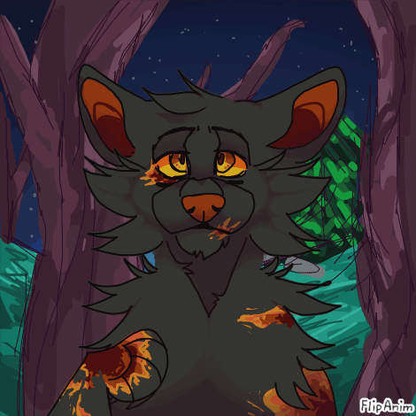 starry nights - remake - FlipAnim