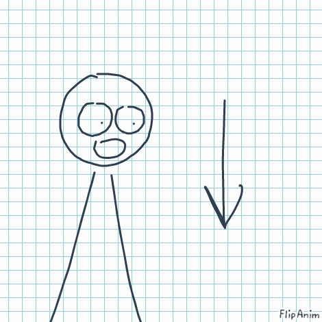 IMPORTANT - FlipAnim