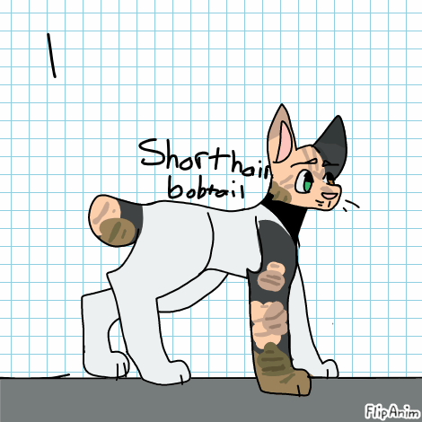 Adopts(nfcfs) - FlipAnim