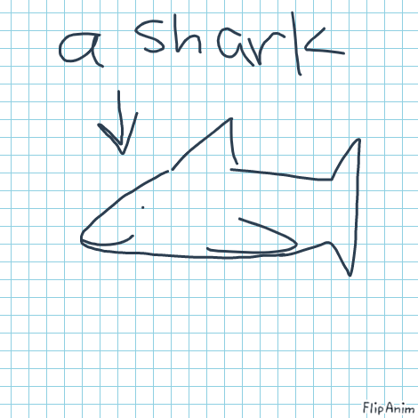 a shark - FlipAnim