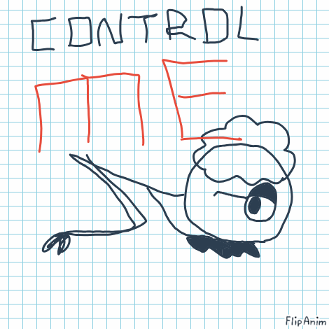 control me - FlipAnim