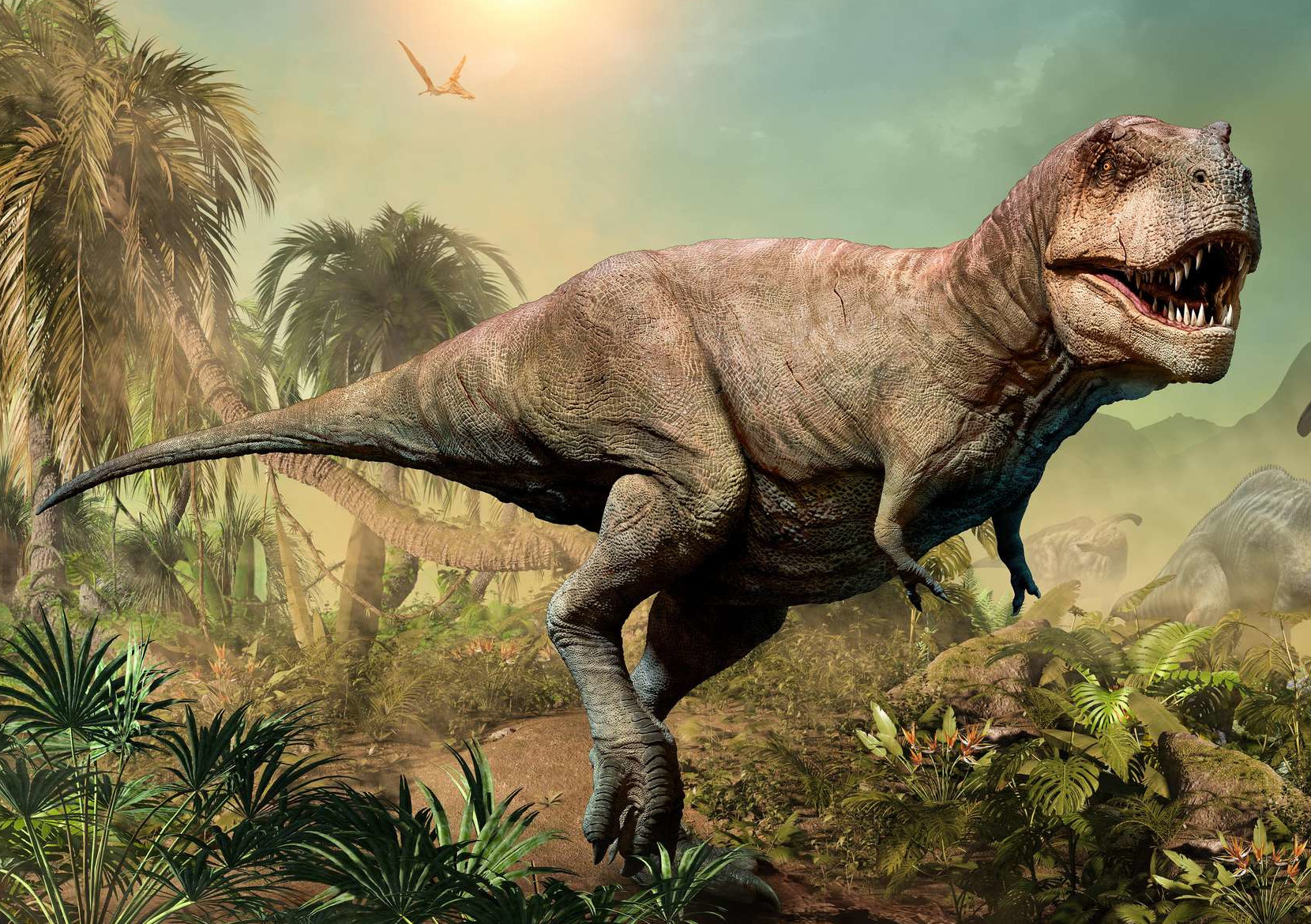 Des origines de la vie aux dinosaures Des origines de la vie aux dinosaures