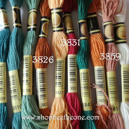 Fil à broder - équivalent n° dmc 3821 blé - écheveau de coton mouliné pour broderie - 8 m - 6 ...