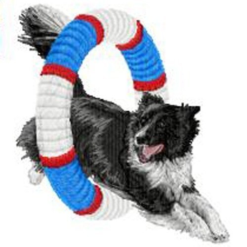 Écusson patch brodé border collie applique thermocollant broderie chien ...