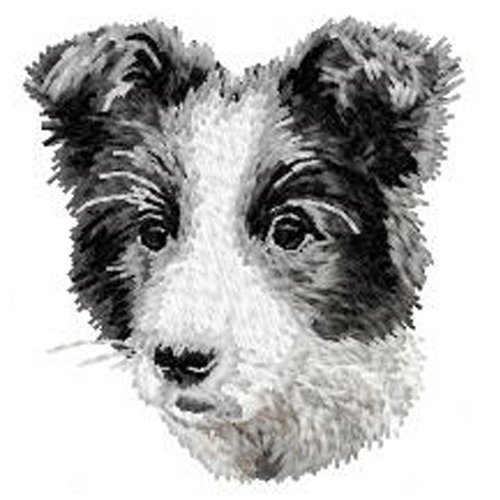 Écusson patch brodé border collie applique thermocollant broderie chien ...