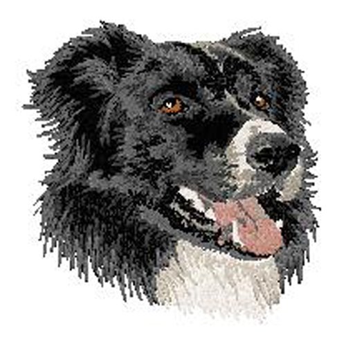 Écusson patch brodé border collie applique thermocollant broderie chien ...
