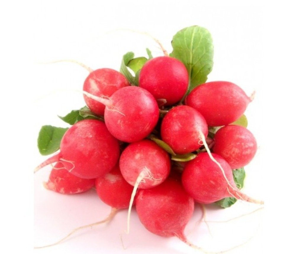 100 graines de radis rouge rond légume pour jardin potager balcon serre ...