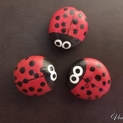 1 galet peint coccinelle peinture sur galet coccinelle peinte à la main ...