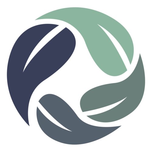 Le Créationniste - Un grand marché