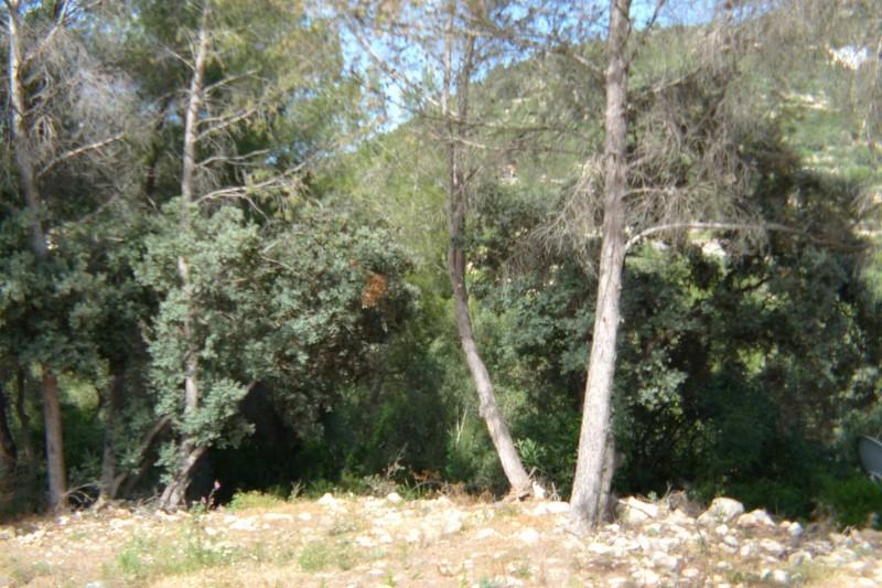Plot for sale in Alcalalí, Ref: QGP-01236 - SpainHouses.net