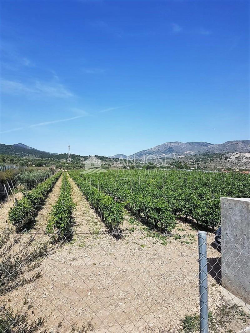 Plot for sale in La Romana, Ref: SJI-25261 - SpainHouses.net