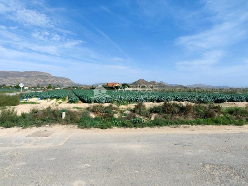Parcela en venta en Monforte del Cid, Ref: SJI-27594 - SpainHouses.net