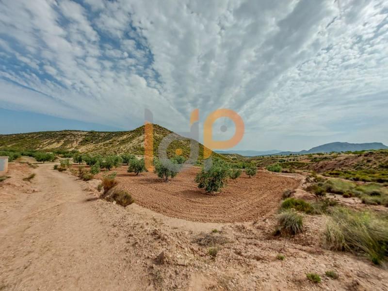 Plot for sale in Zurgena, Ref: BTR-2985 - SpainHouses.net