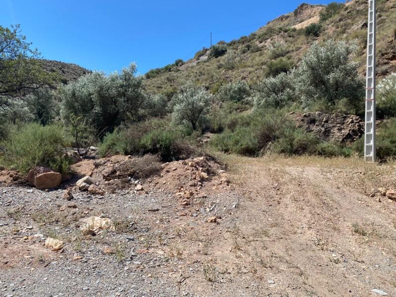 Plot for sale in Cantoria, Ref: DML-95094 - SpainHouses.net