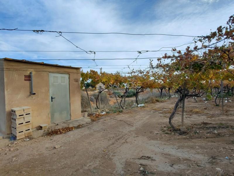 Parcela en venta en Aspe, Ref: SJI-28693 - SpainHouses.net