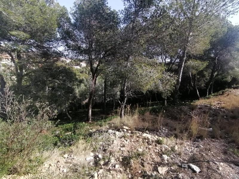 Parcela en venta en Costa Cunit - Els Jardins - Els Rosers, Cunit, Ref: CGS-322-01164p ...