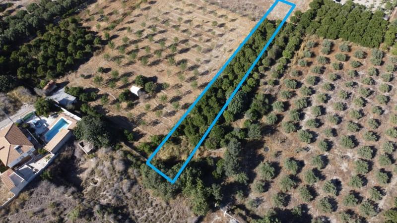 Parcela en venta en Cantoria, Ref: DML-95082 - SpainHouses.net
