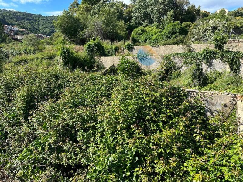 Parcela en venta en Torre de Don Miguel, Ref: VUJ-9826 - SpainHouses.net