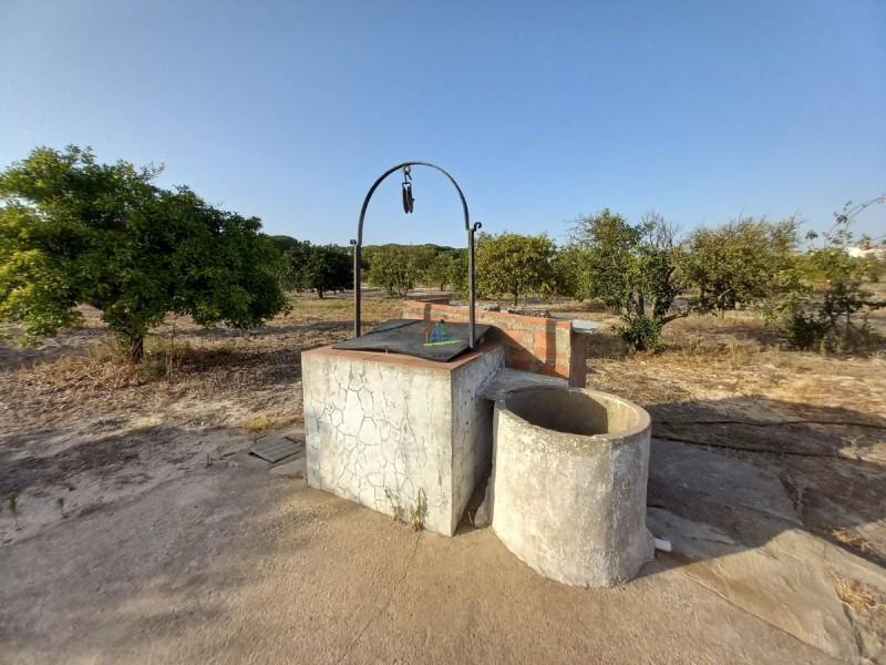 Plot for sale in Almonte, Ref: NZB-850 - SpainHouses.net