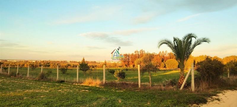 Plot for sale in Almonte, Ref: NZB-991 - SpainHouses.net