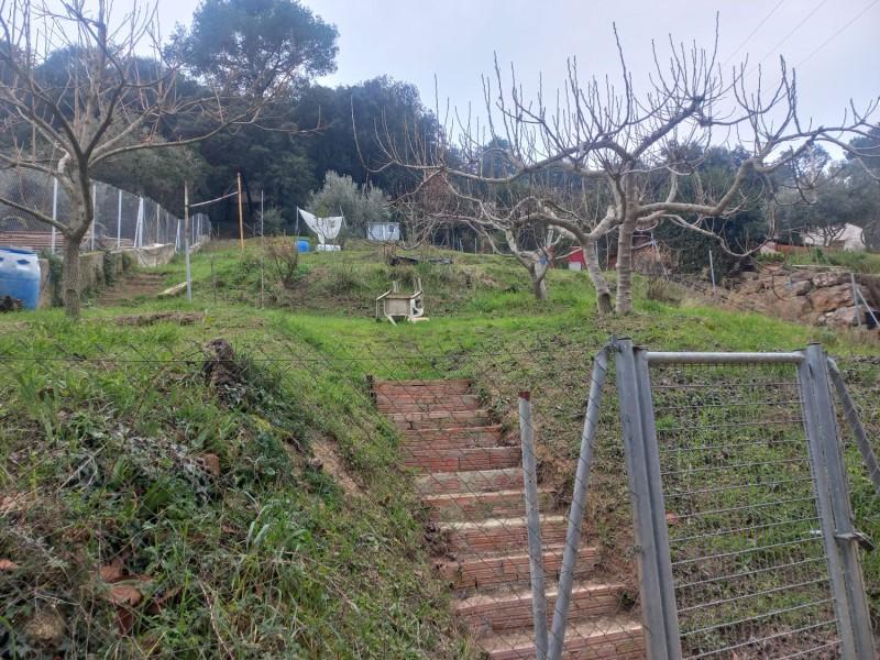 Parcela en venta en Bigues i Riells, Ref: POV-236 - SpainHouses.net