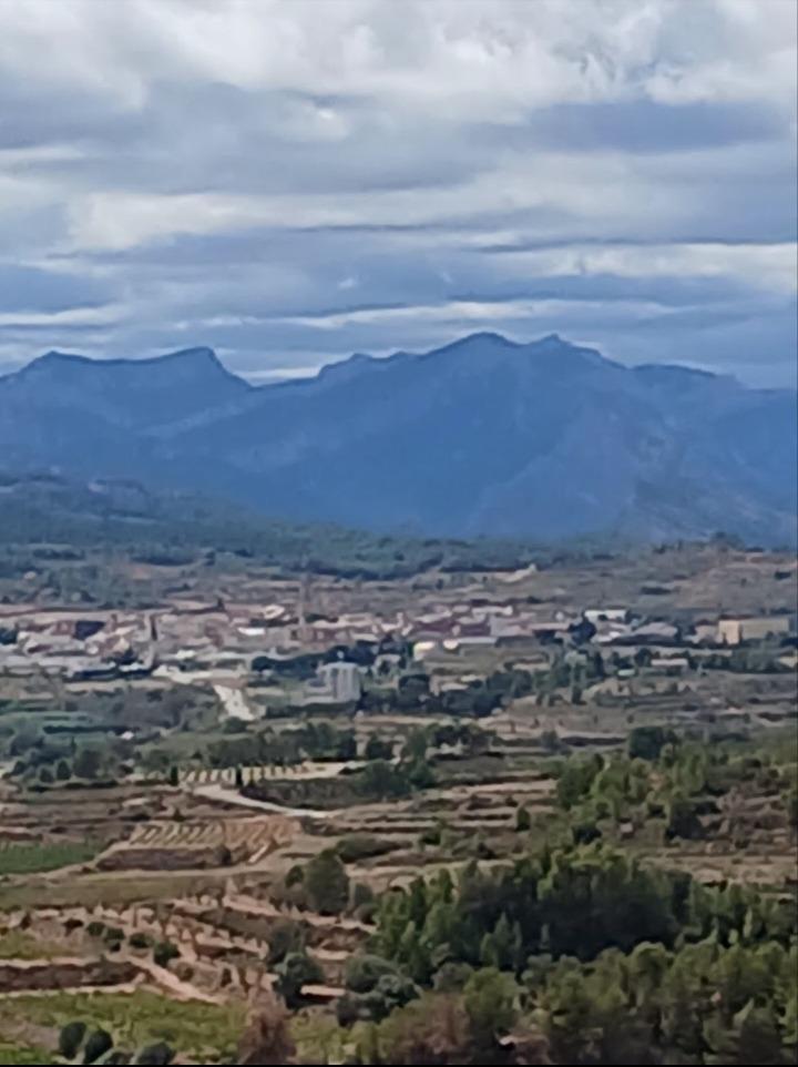 Parzelle zum verkauf in Corbera d'Ebre, Ref: RHO-A02380 - SpainHouses.net