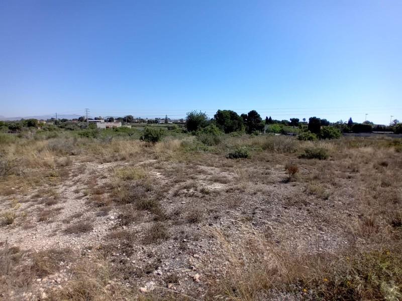 Parcela en venta en Alzabares, Elche, Ref: QOI-P2470 - SpainHouses.net
