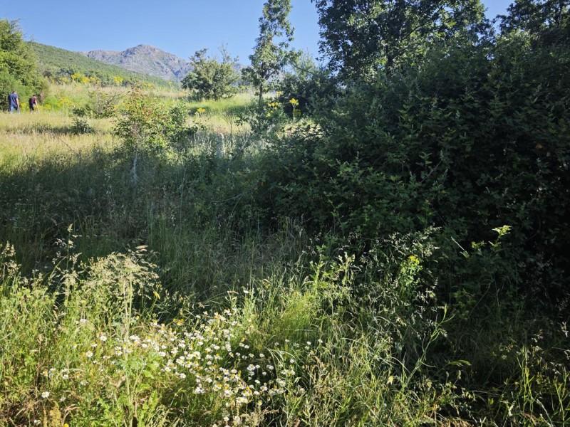 Parcela en venta en Hervás, Ref: ZEC-1059 - SpainHouses.net