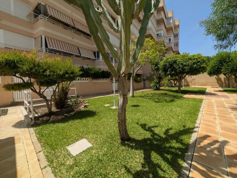 Flat for sale in Arenales del Sol, Elche, Ref: QMS-3165 - SpainHouses.net
