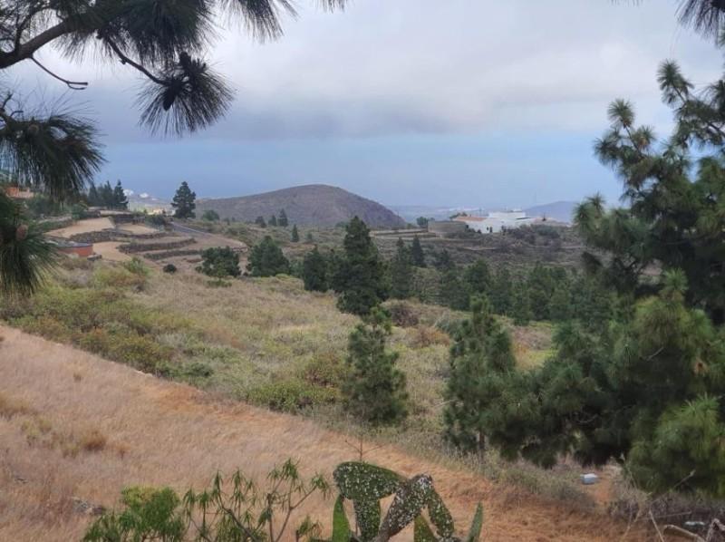 Parcela en venta en Tamaide-El Roque, San Miguel de Abona, Ref: DGV ...