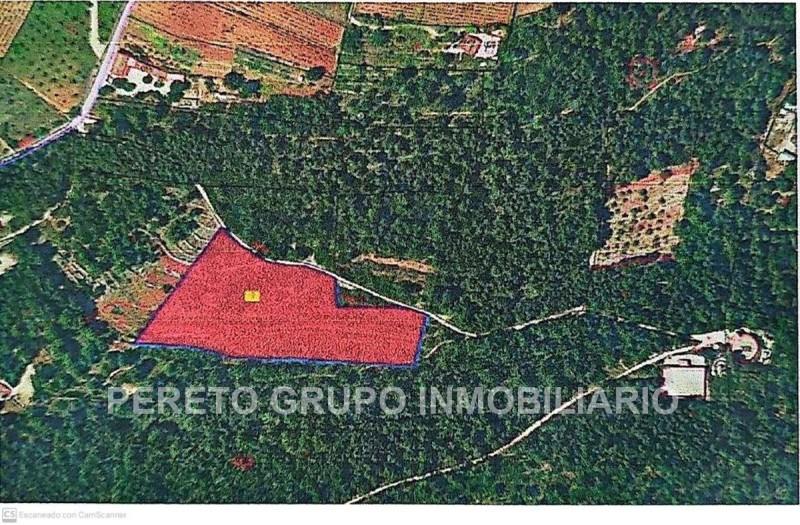 Parcela en venta en Jalón, Ref: QGP-L001777 - SpainHouses.net