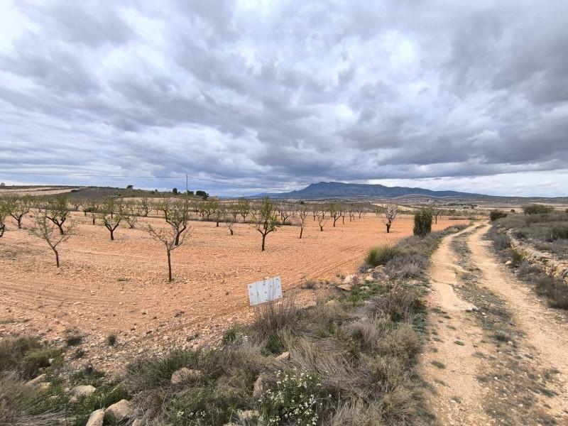 Plot for sale in Yecla, Ref: ZOM-70015 - SpainHouses.net